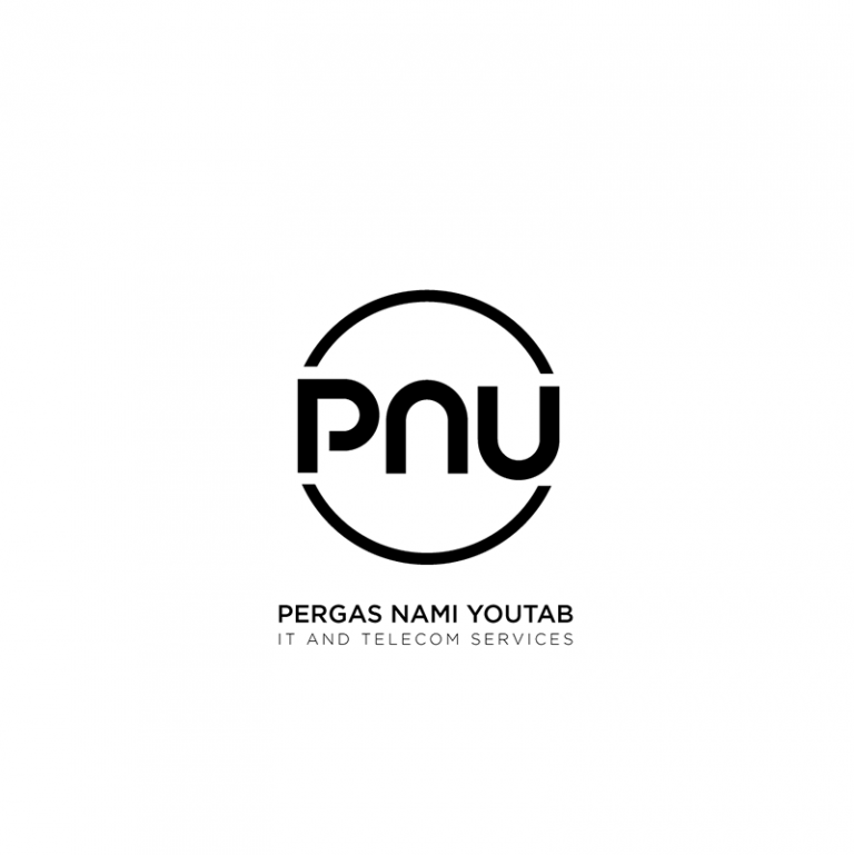 PNU LOGO – Saber Naeemi