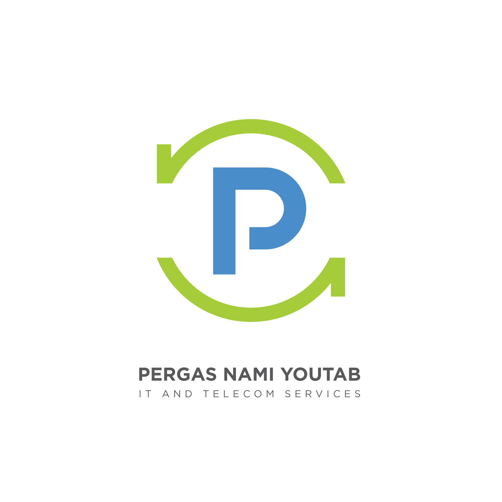 PNU LOGO – Saber Naeemi